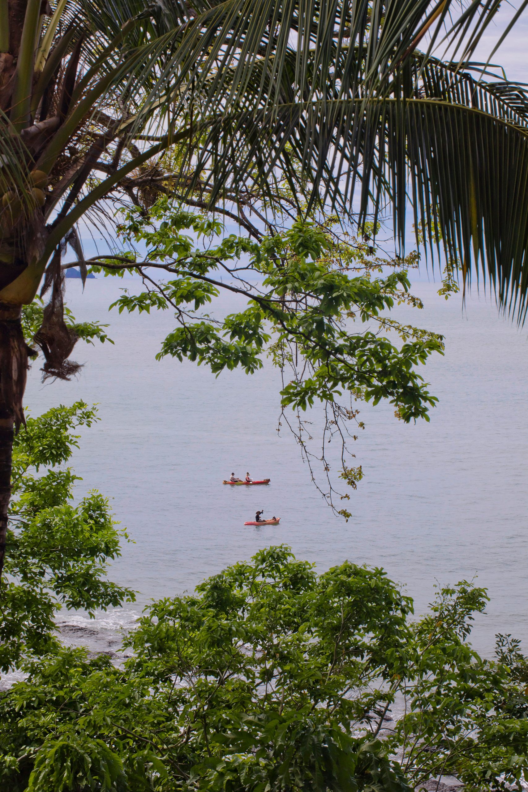 Sustainable Luxury Hotels, Central America | Cayuga Collection